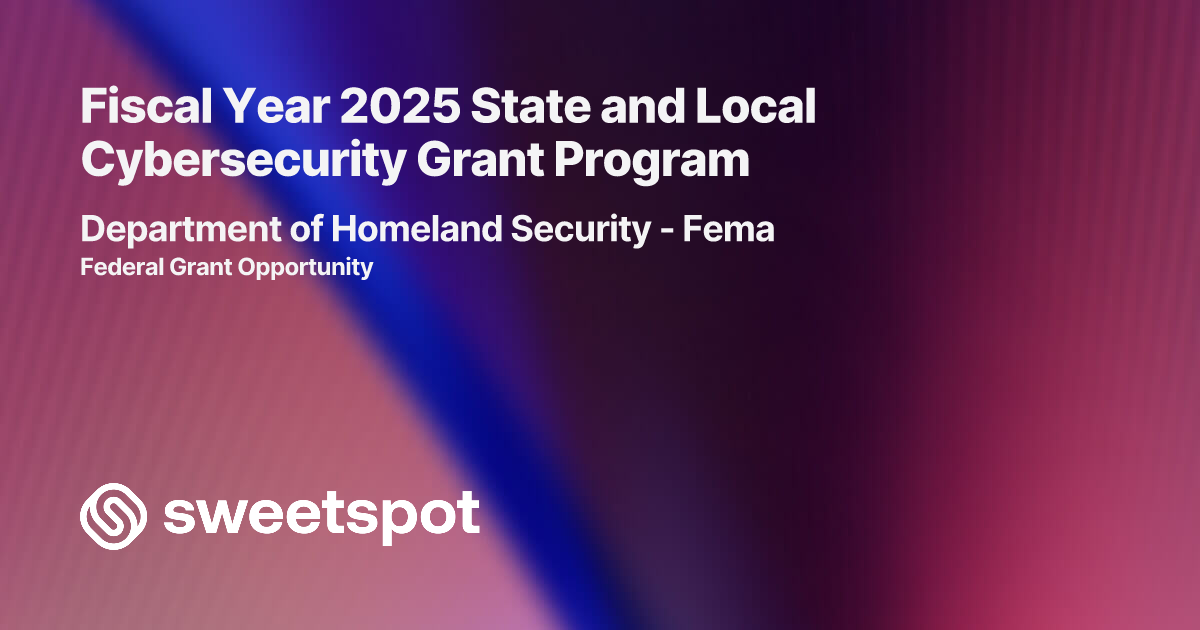 Fiscal Year 2025 State and Local Cybersecurity Grant Program