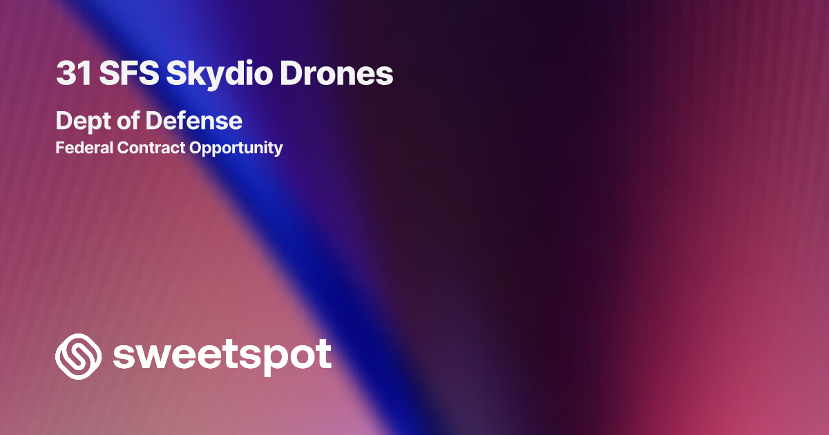 31 SFS Skydio Drones