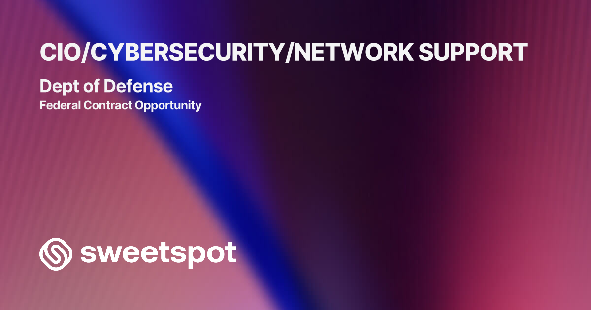 CIO/CYBERSECURITY/NETWORK SUPPORT