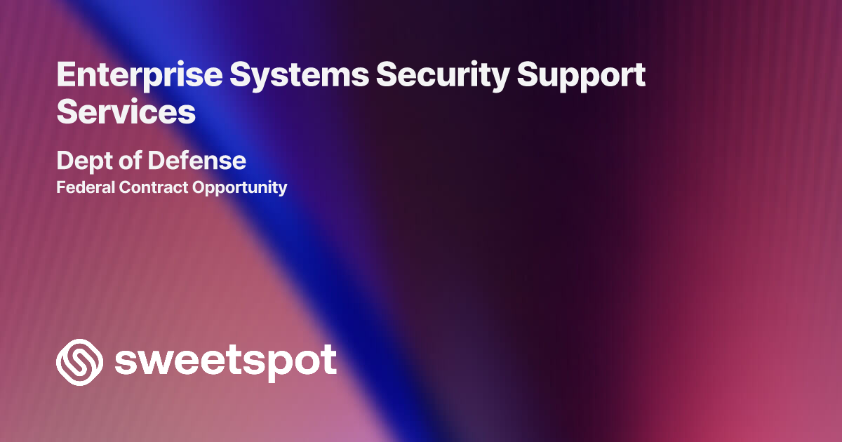 Enterprise Systems Security Support Services
