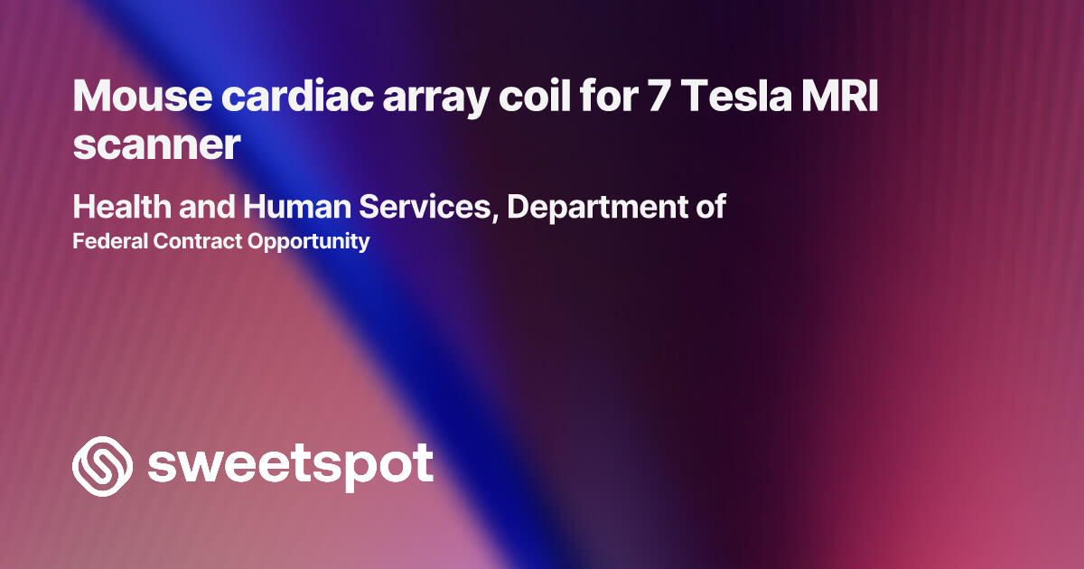 Mouse cardiac array coil for 7 Tesla MRI scanner